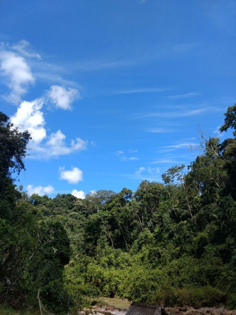 A Near-Perfect Pyramid Just Appeared in the Amazon - Scientists Reveal ...