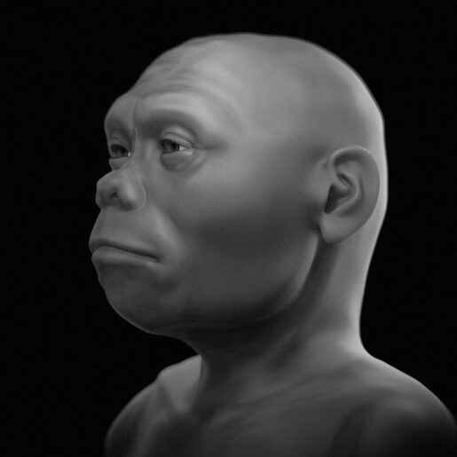 Could the Real-Life "Hobbit" Still Be Alive? 15 True Facts About Homo ...