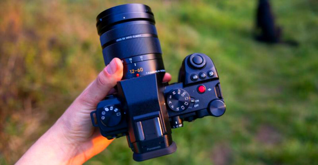 We Found 11 Cameras That Make Everyday Nature Shots Look Stunning