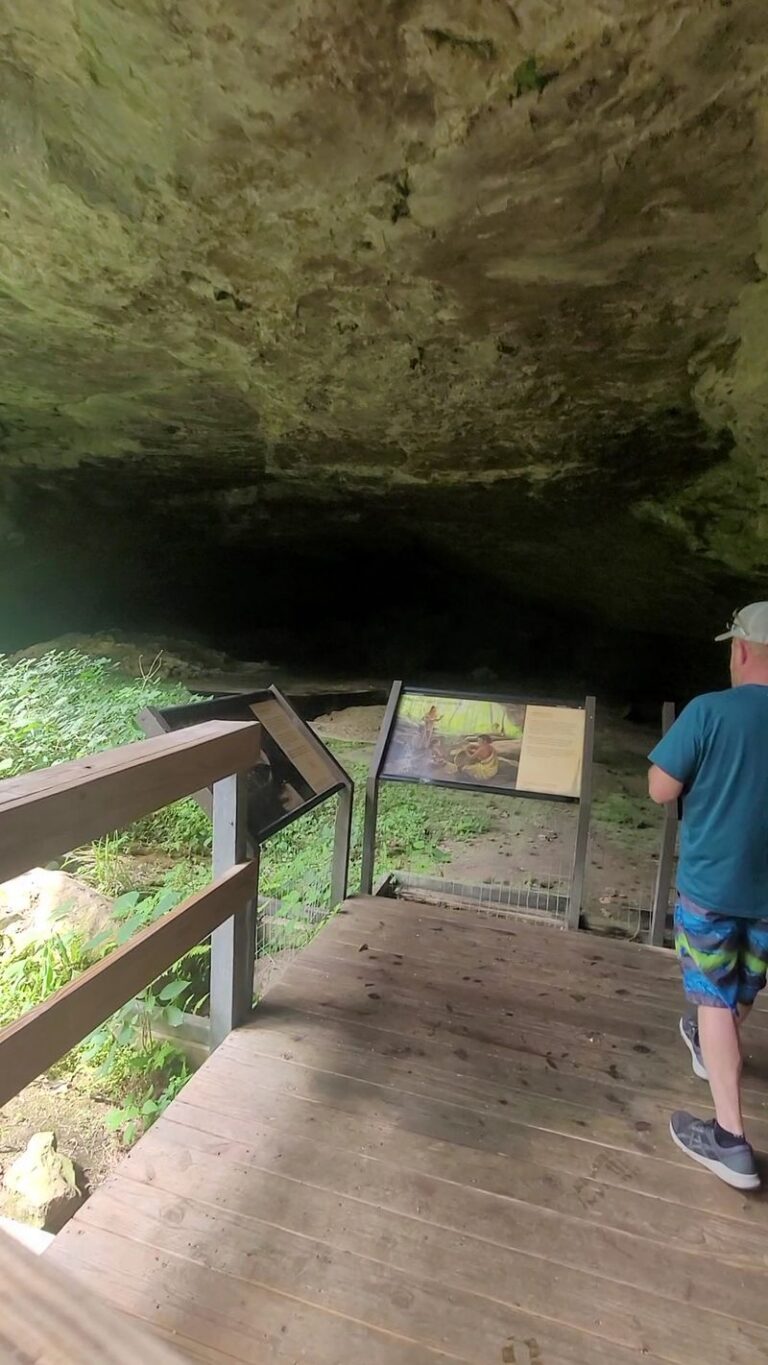 An Alabama Cave Holds One of America’s Most Complete Records of ...