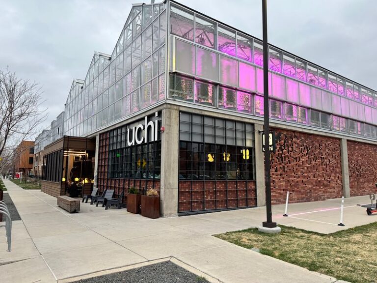 9 Denver Happy-Hour Snacks That Feel Like A Full Dinner