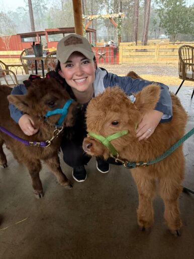 Meet Baby Highland Cows At This Adorable New Animal Café In St ...