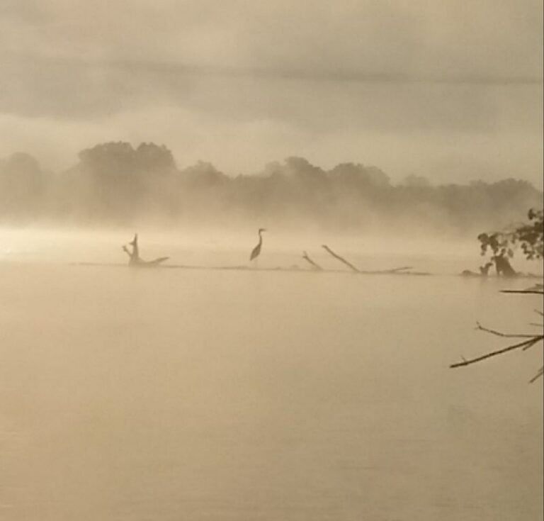 This Scenic Tennessee Lake Between Nashville and Clarksville Is Perfect ...