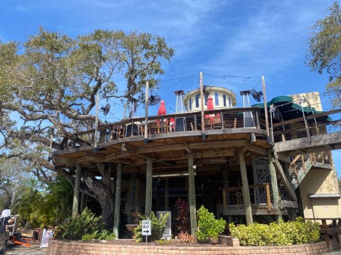 This Giant Treehouse Restaurant in Florida Looks Straight Out of a ...