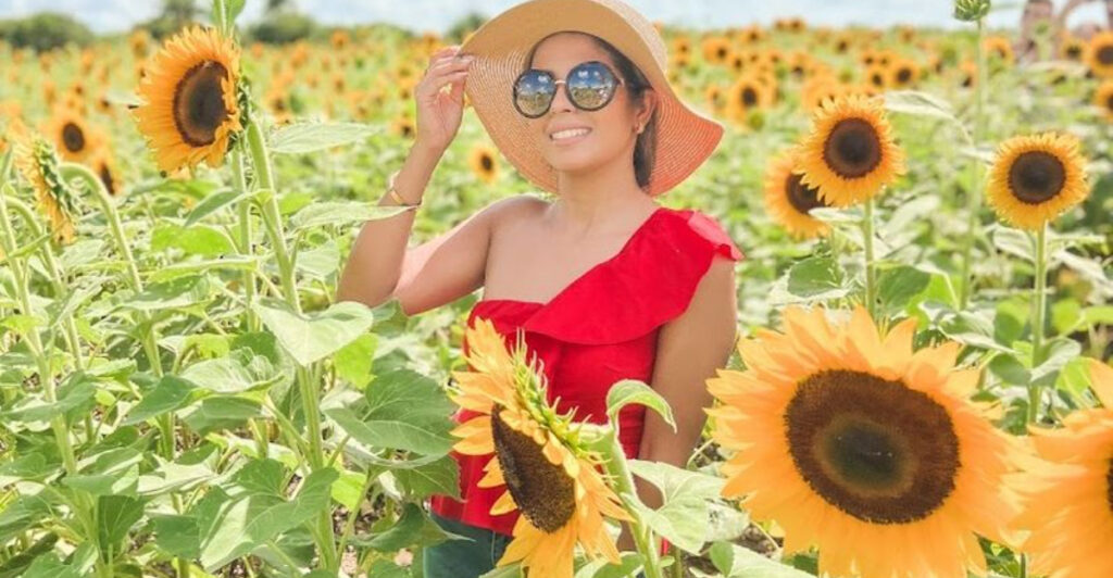 A Sunflower Maze Is Blooming at This Miami Flower Festival Starting ...