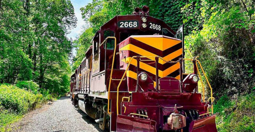 America by Rail: 12 Scenic Train Journeys That Will Take Your Breath Away