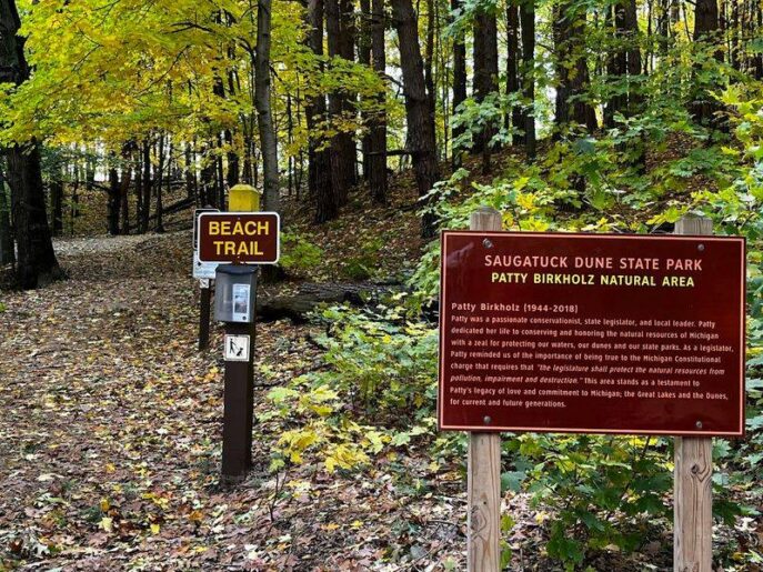 This Dune Trail Hike Ends With One of the Most Beautiful Beaches on ...