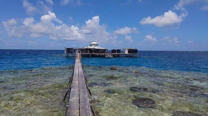 A Family Lives in the Middle of the Ocean: Inside Life at the 'End of ...