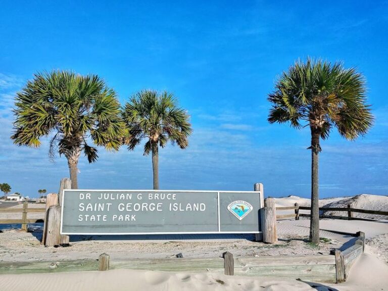 This Remote Florida State Park Offers Pristine Beaches and Some of the ...