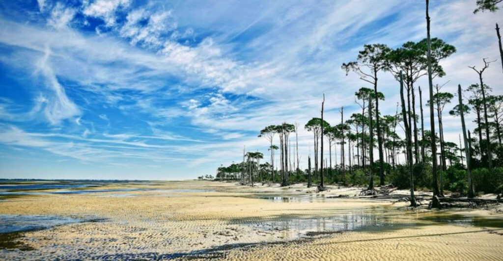 This Remote Florida State Park Offers Pristine Beaches and Some of the ...