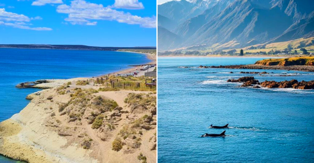 14 Coastal Regions Known for Incredible Whale Watching