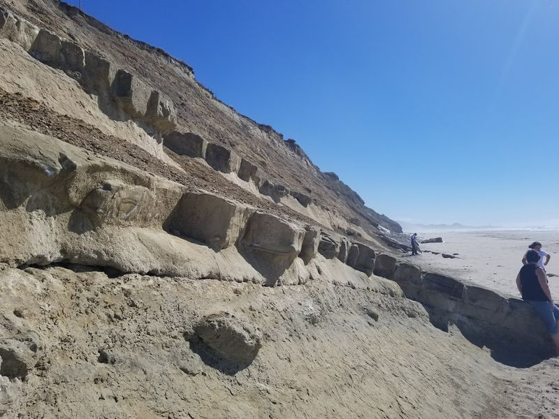 One of Oregon's Most Fascinating Beaches Is Littered With Ancient ...