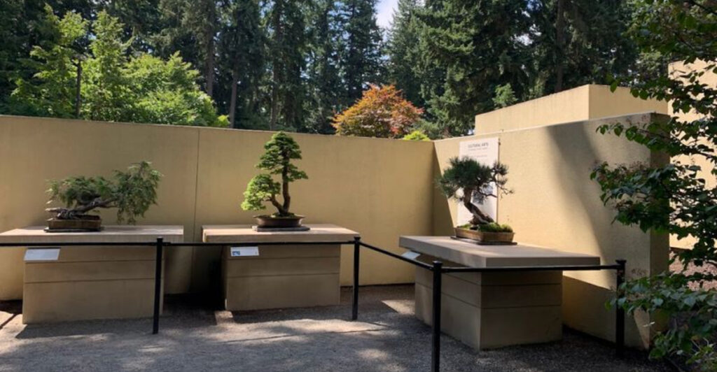 This Peaceful Washington Museum Hides Living Trees That Feel More Like ...